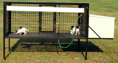 Welcome Pinehill Kennels